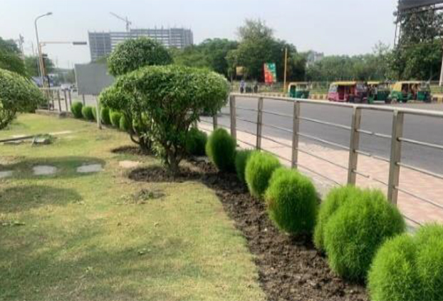 Green area Development & Maintenance at Greater Noida | Honda India ...